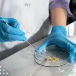 Scientists in Norway Found That Arctic Bacteria Reverse Aging ...