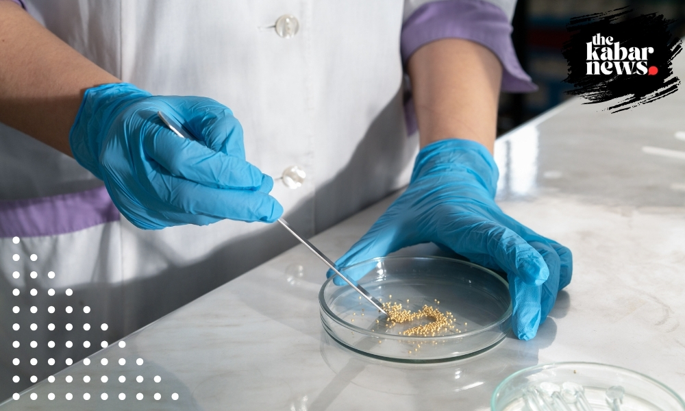 Scientists in Norway Found That Arctic Bacteria Reverse Aging ...